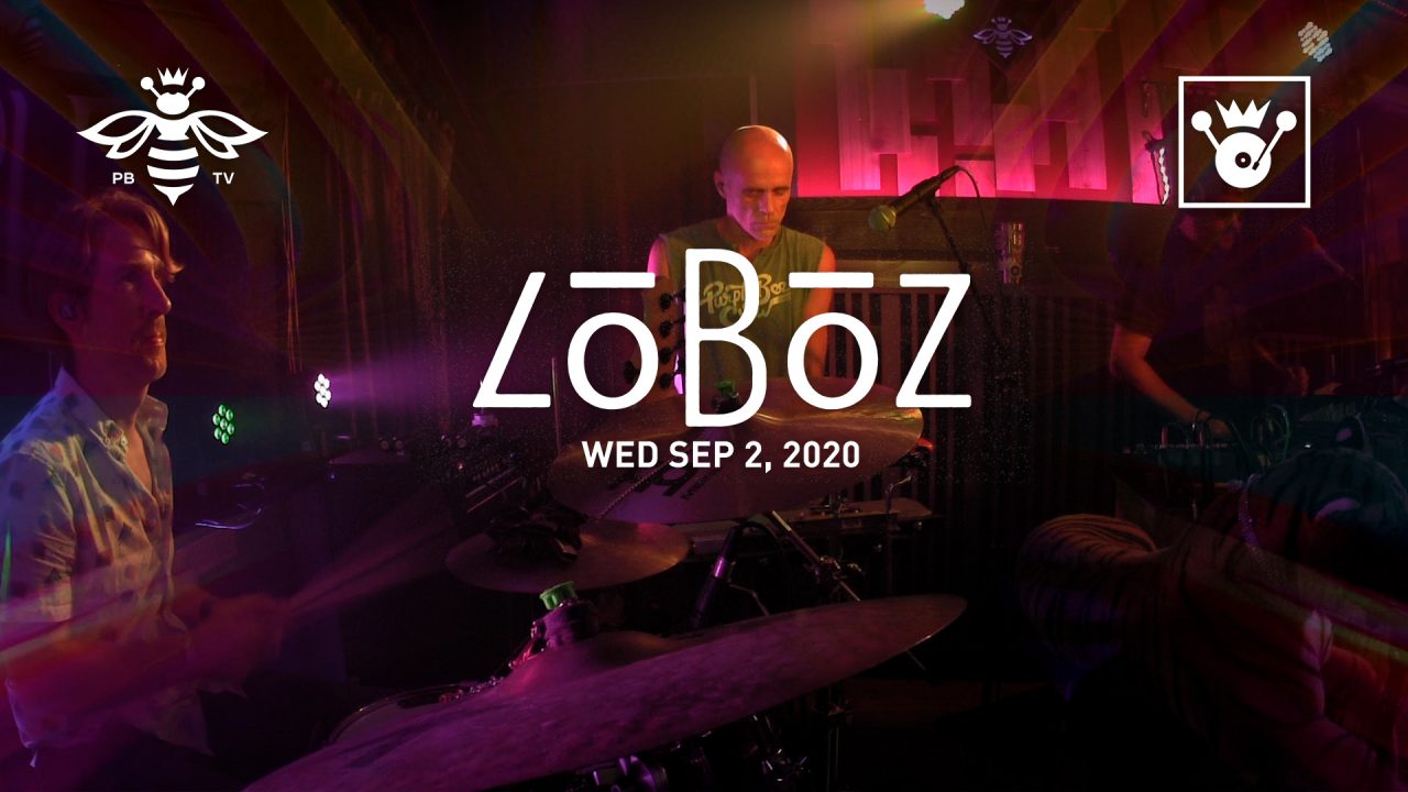 LoBoZ • Purple Bee