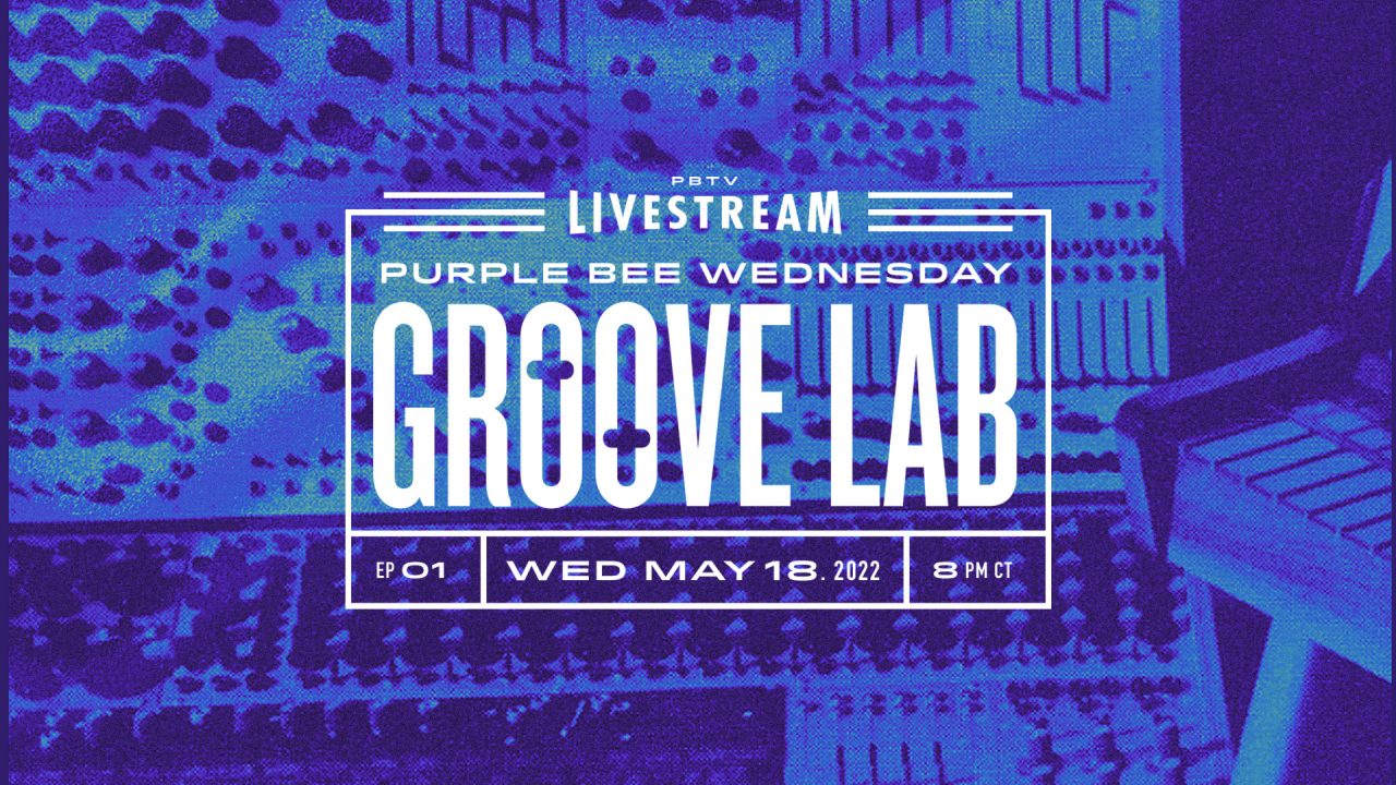 Shows • Purple Bee