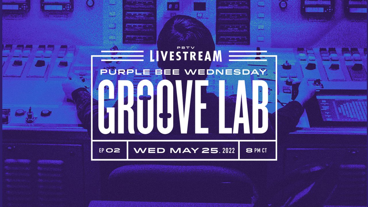 Shows • Purple Bee