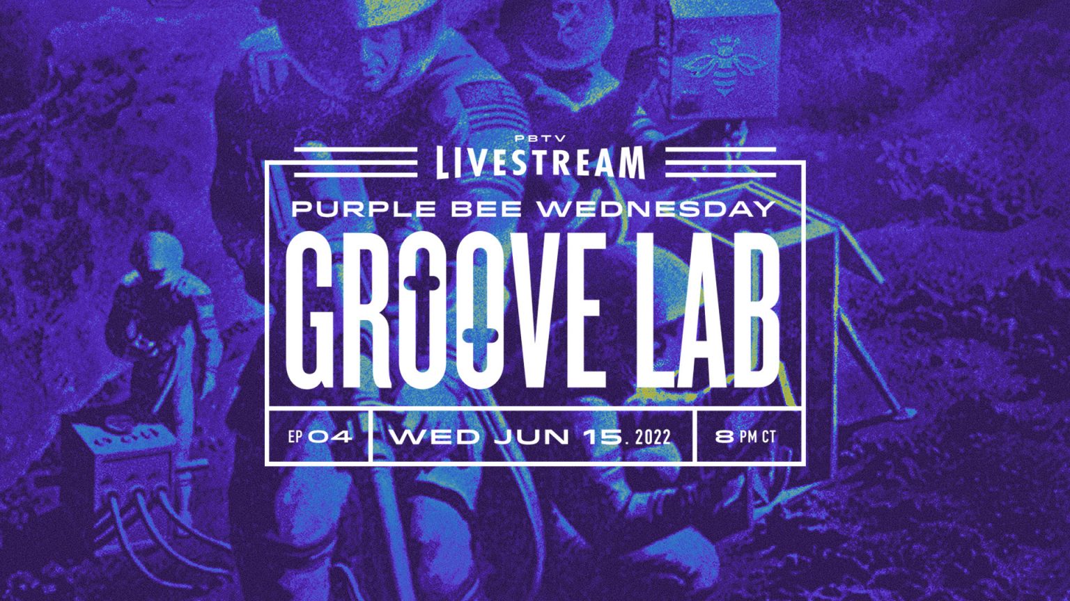 Purple Bee • Recording Studio and Livestream Concert Video Production