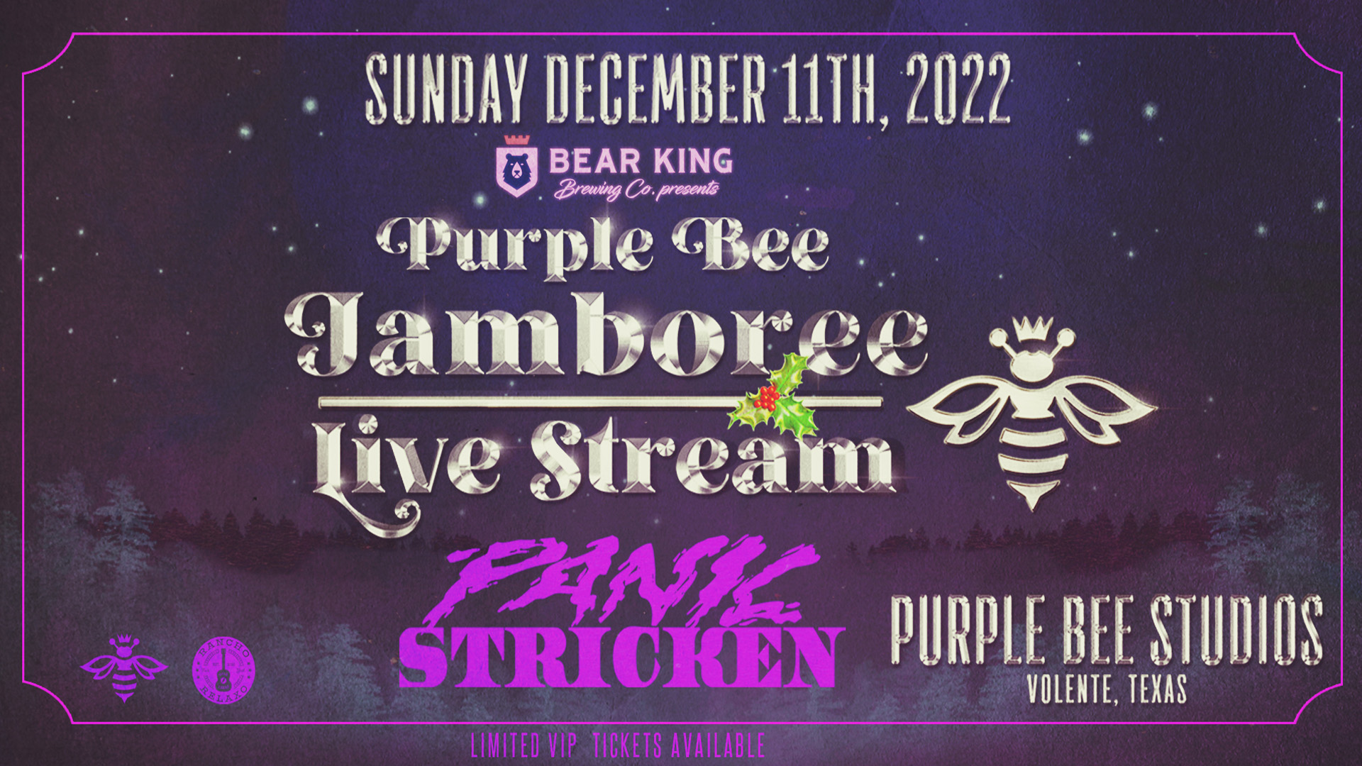 Purple Bee • Recording Studio and Livestream Concert Video Production