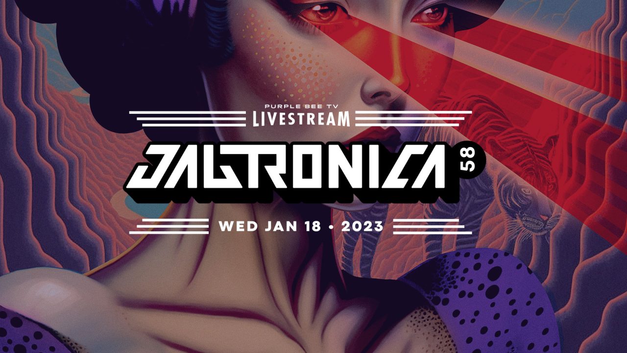 Shows • Purple Bee