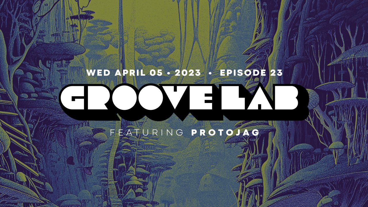 Shows • Purple Bee