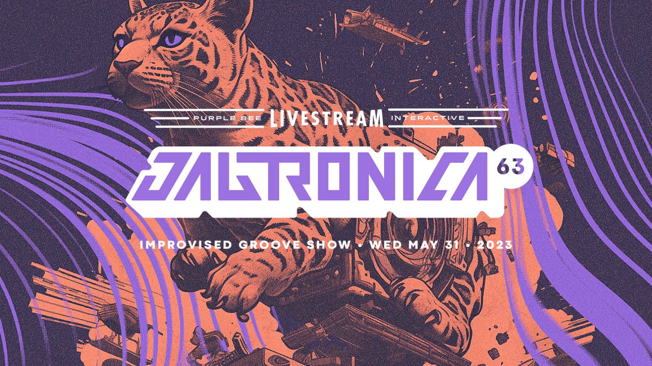 Shows • Purple Bee