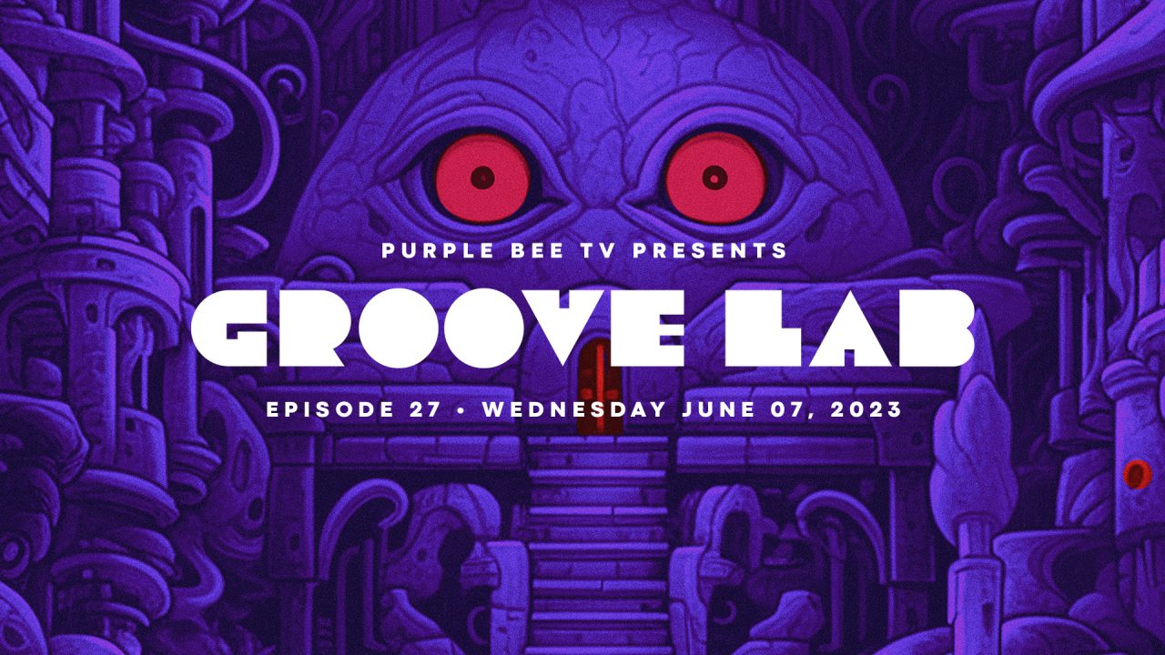 Shows • Purple Bee