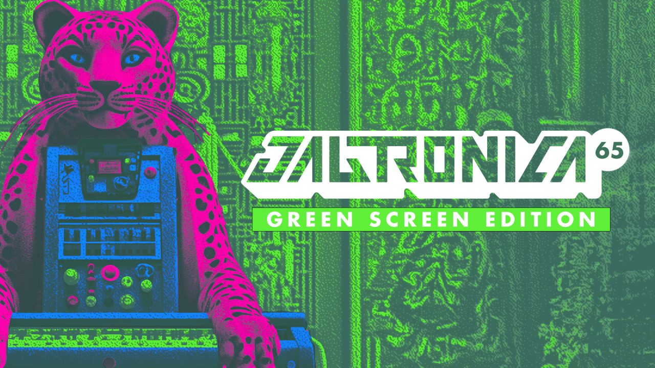 Shows • Purple Bee