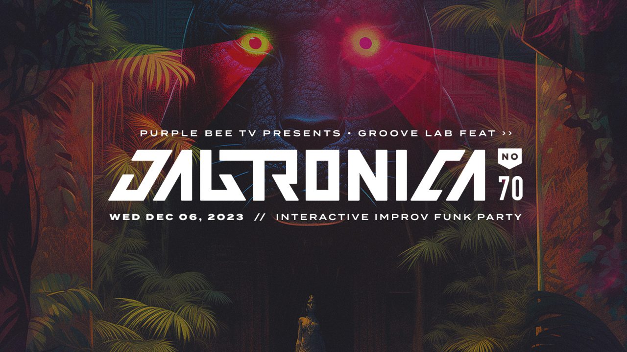 Shows • Purple Bee