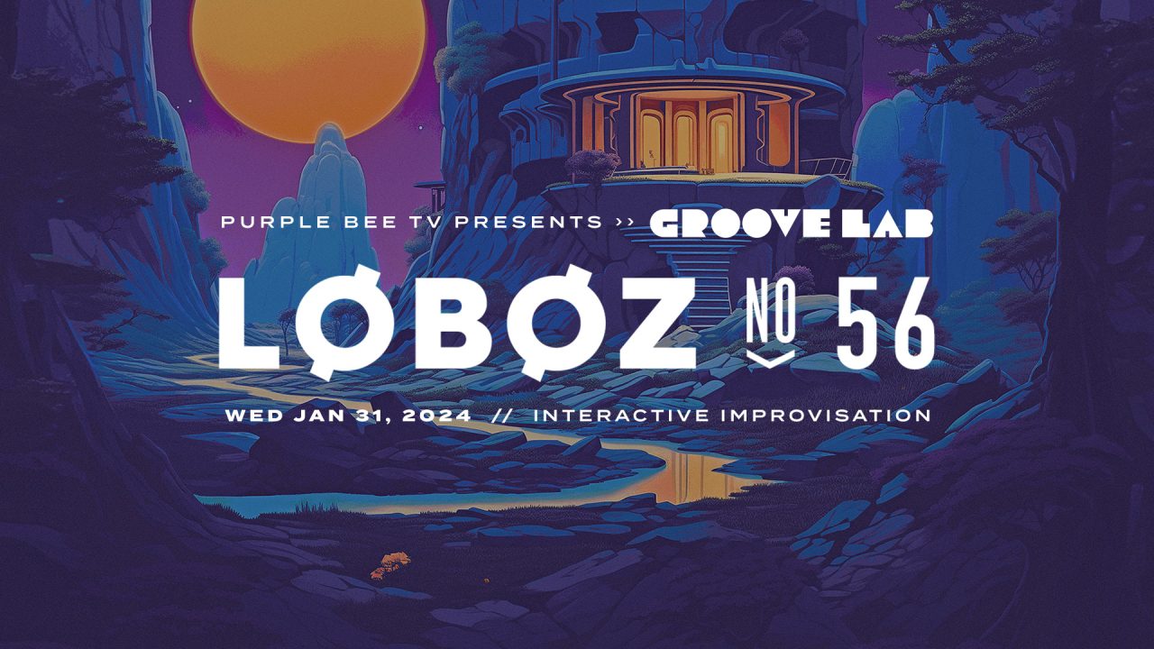 Shows • Purple Bee