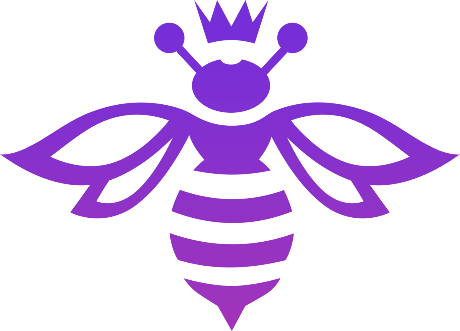 Purple Bee • Recording Studio and Livestream Concert Video Production